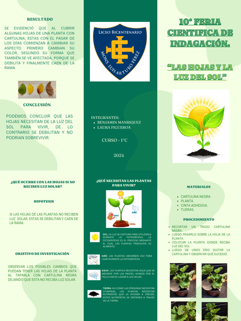 ¿Qué Necesitan Las Plantas para Vivir (Trípticos) | PDF | Plantas | Hoja