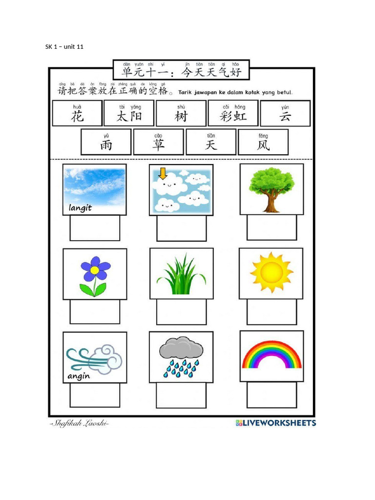SK 1 - unit 11 revision worksheet | PDF