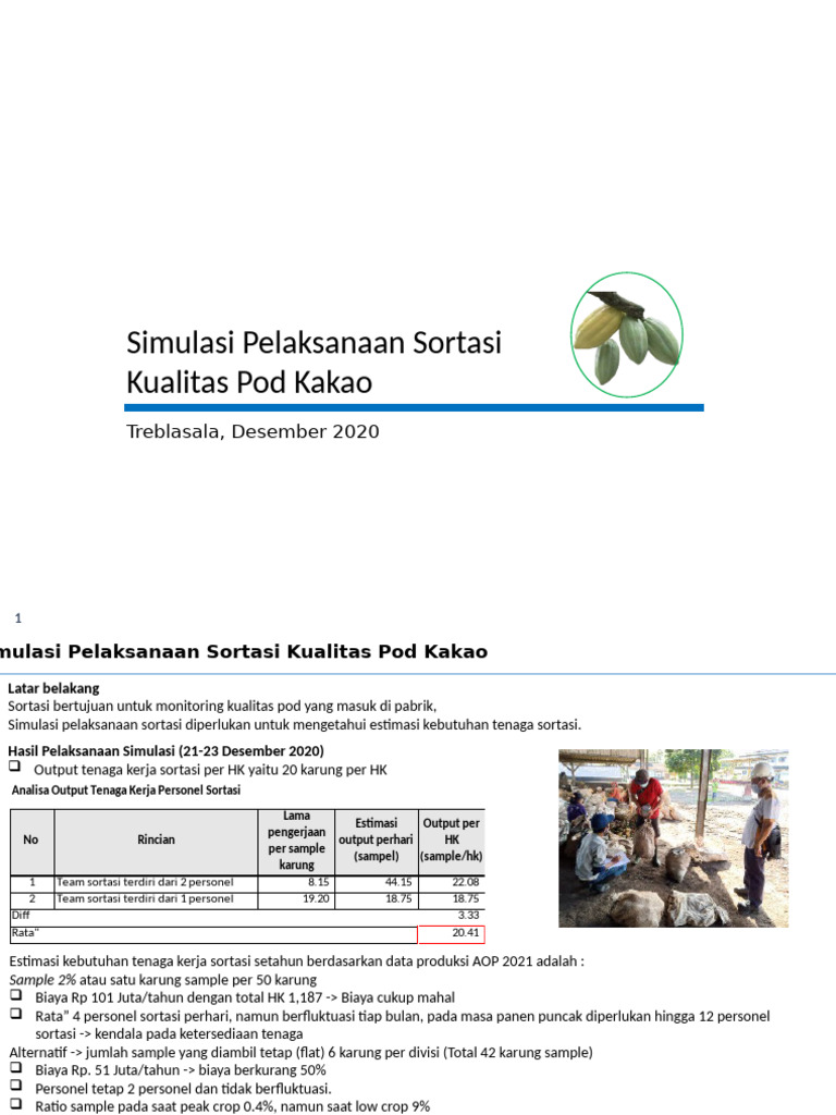 Simulasi Pelaksanaan Sortasi Kualitas Pod Kakao | PDF