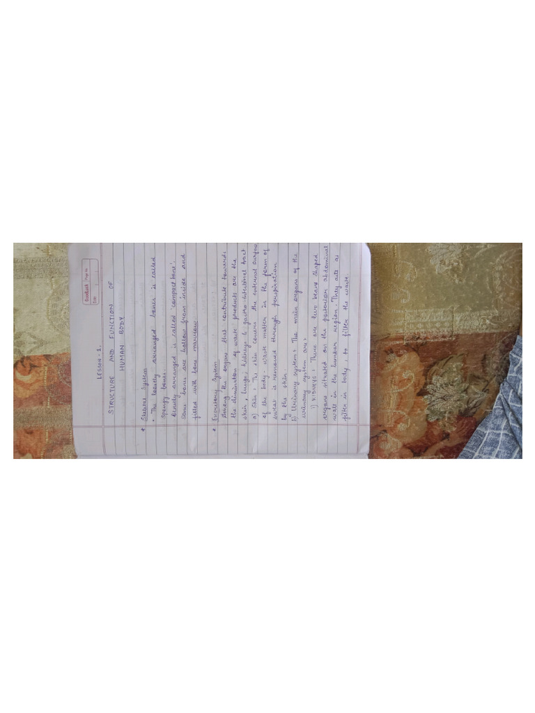 Handwritten Notes Pdf