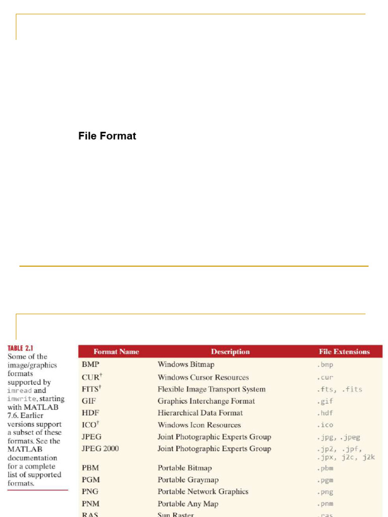 file format | PDF