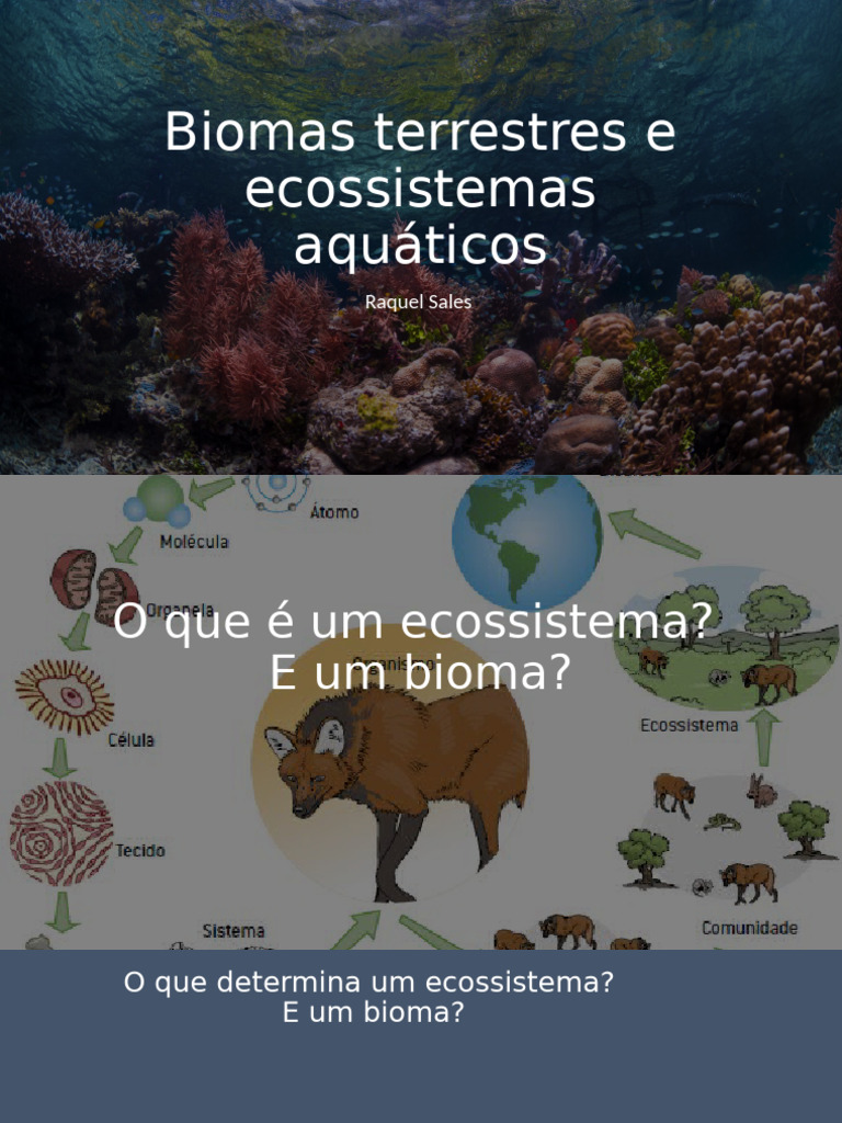 Biomas e Ecossistemas Aquáticos | PDF | Ecossistema | Oceanografia