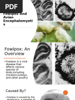 Hematology Form | PDF | Vertebrates | Medicine