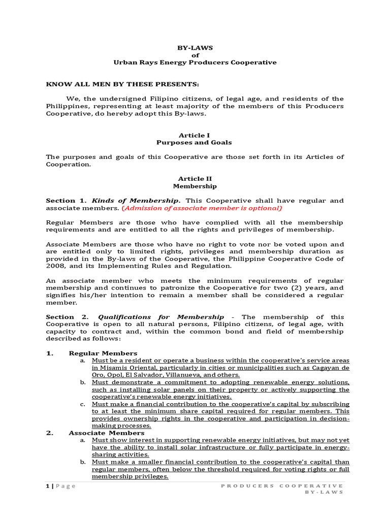 PRODUCERS-BYLAWS Urban Rays | PDF | Board Of Directors | Internal Control