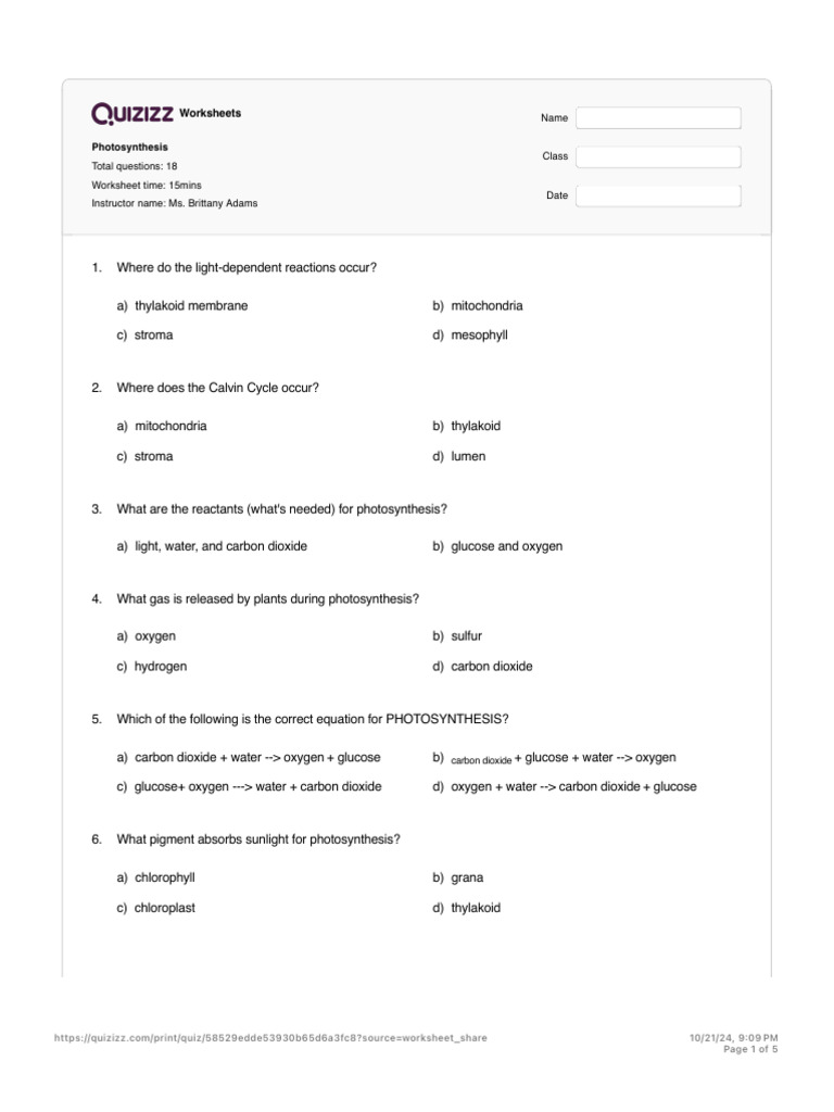Photosynthesis Quiz Worksheet | PDF | Photosynthesis | Chloroplast