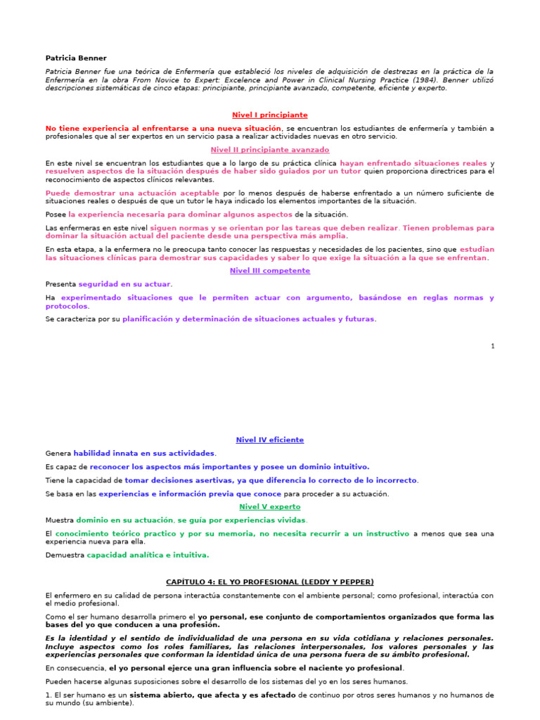 Patricia Benner - Resumen | PDF | Enfermería | Adultos