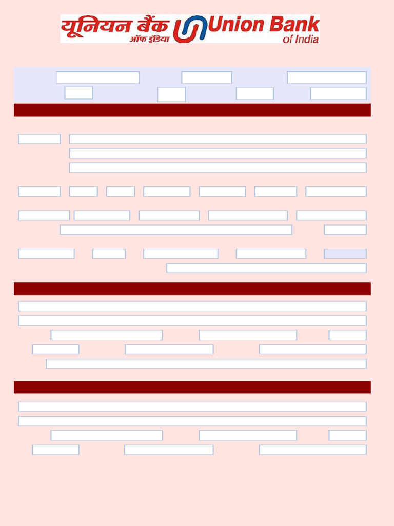 Application_Form_Account_Opening06062024031426 | PDF | Banks | Cheque