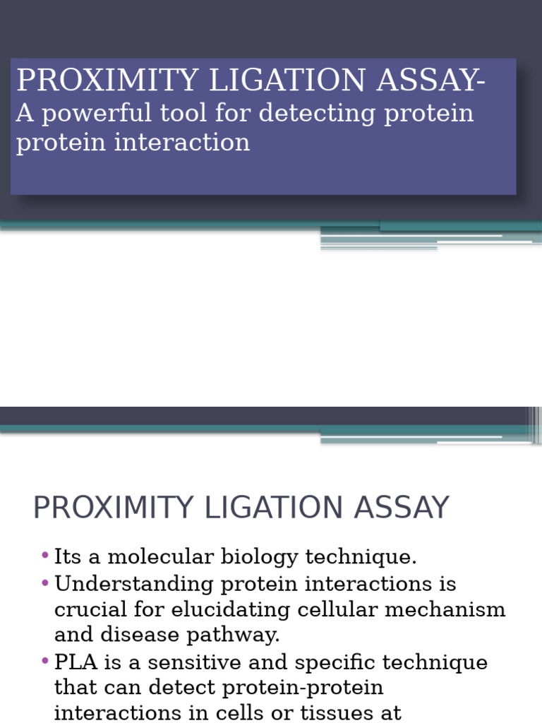 Proximity Ligation Assay | PDF | Dna Ligase | Proteins