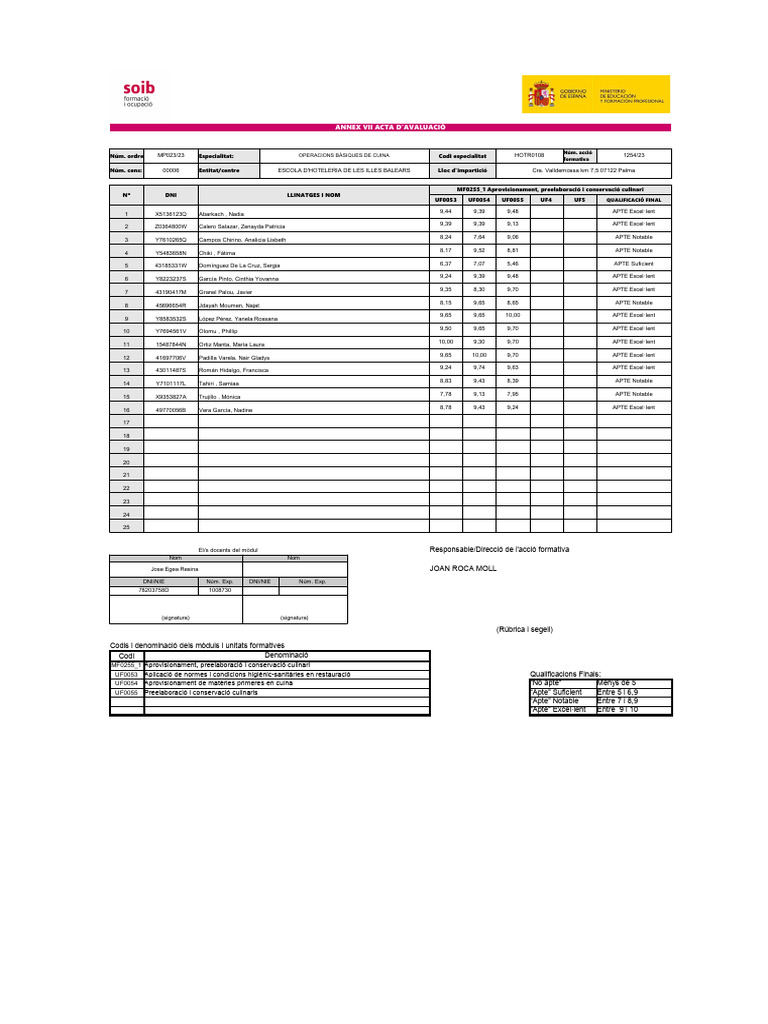1254-23 Annex Vii Acta Avaluacio | PDF