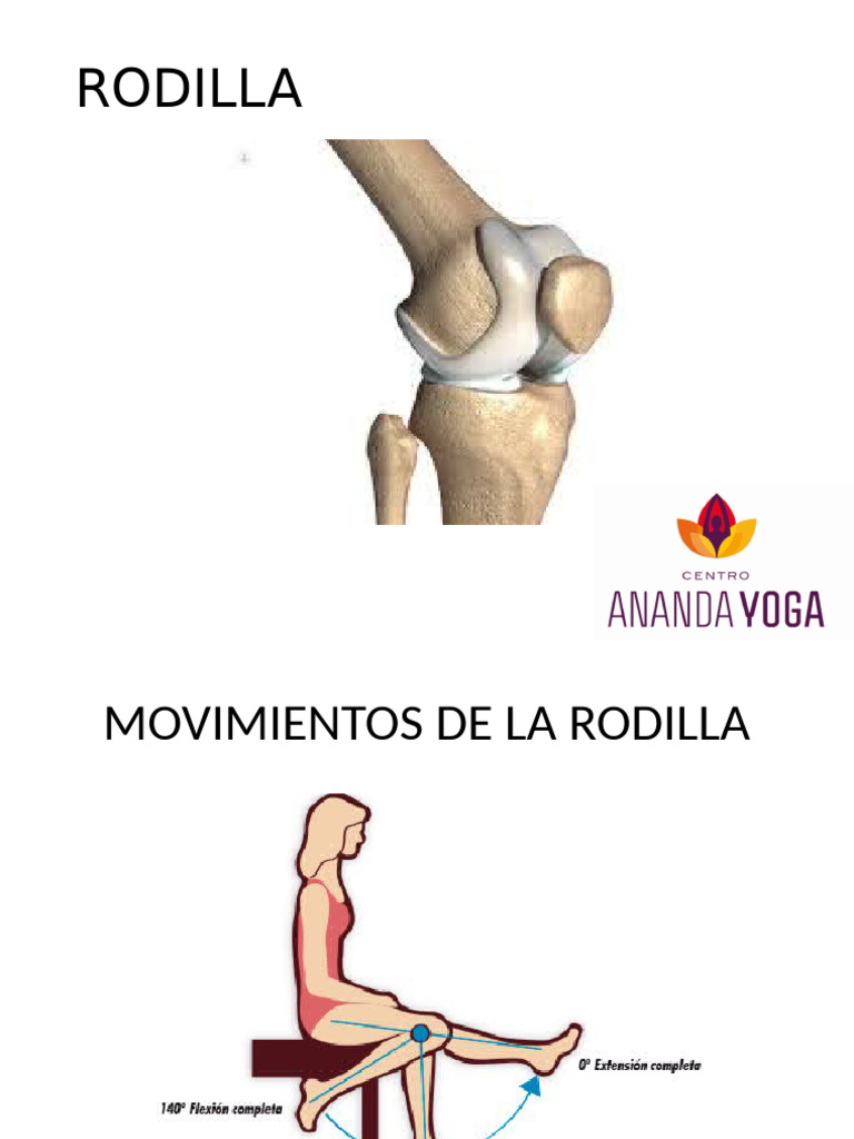 RODILLA | PDF