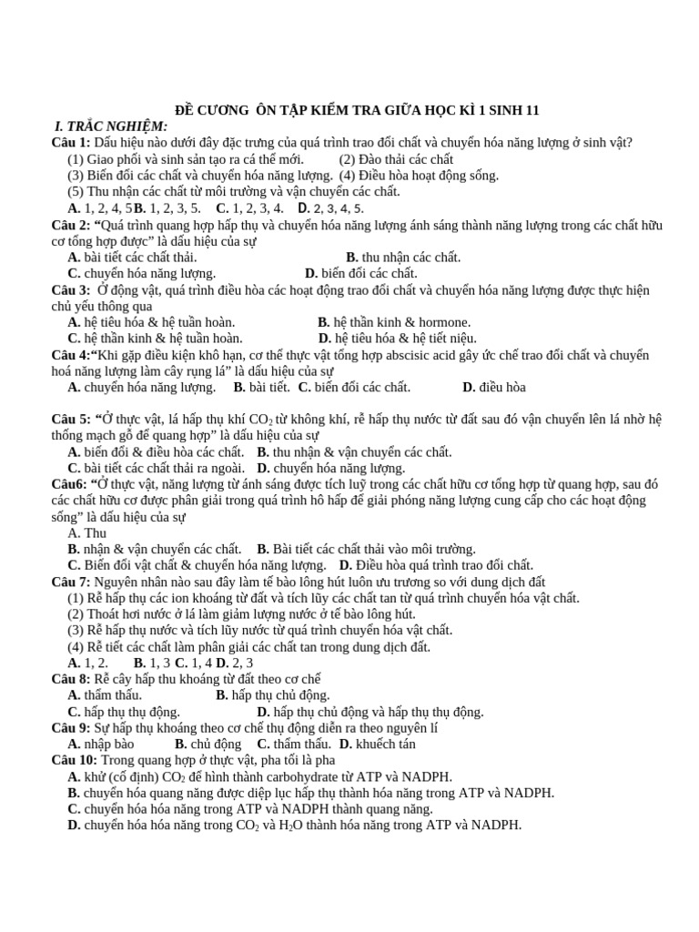 ĐỀ CƯƠNG ÔN TẬP sinh 11 gk | PDF