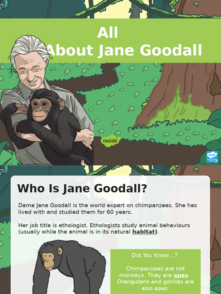 Jane Goodall: Chimpanzee Expert | PDF | Chimpanzee | Zoology