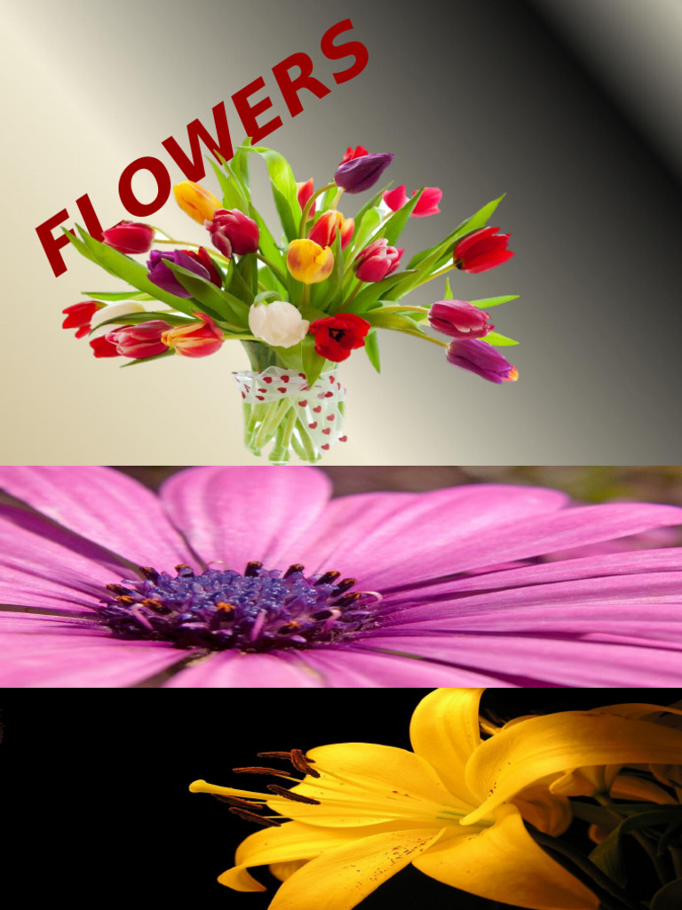 Flowers Presentation | PDF