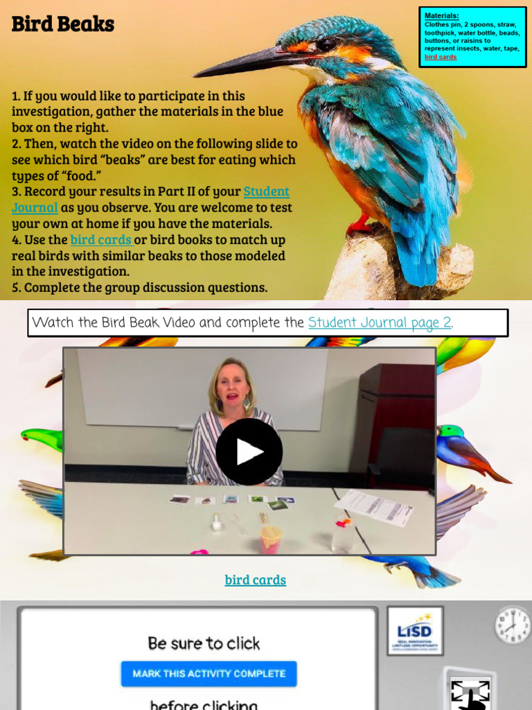 13.5 Lesson Bird Beaks - LIVE Webex | PDF