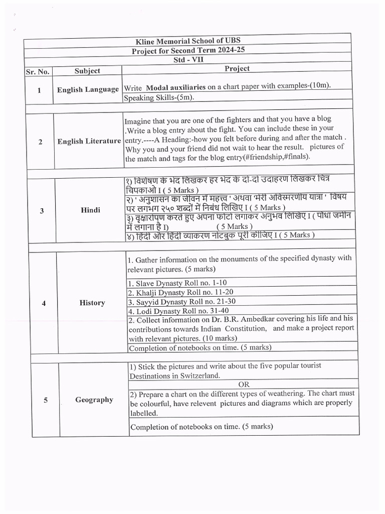 STD VII Second Term Project 2024-25 | PDF