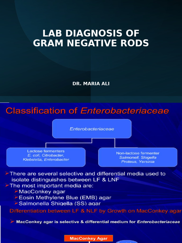 Lab Diagnosis of Gram Negative Rods | PDF