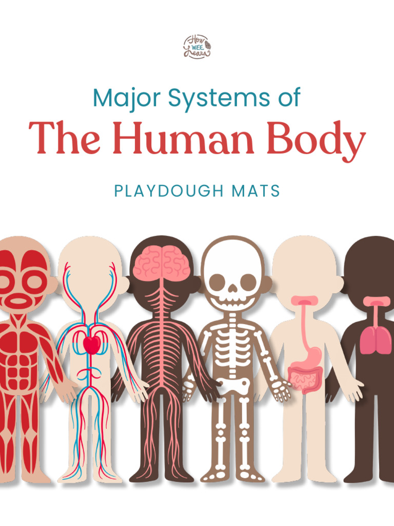 2022 Playdough Mats The Human Body | PDF | Human Body | Esophagus
