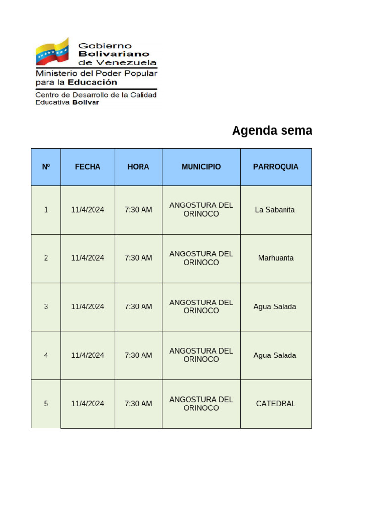 Formato Agenda 24-6 | PDF | Venezuela