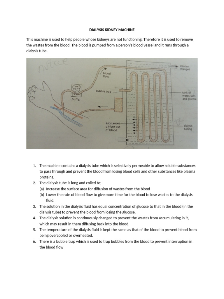 Dialysis Kidney Machine | PDF | Wellness | Science & Mathematics