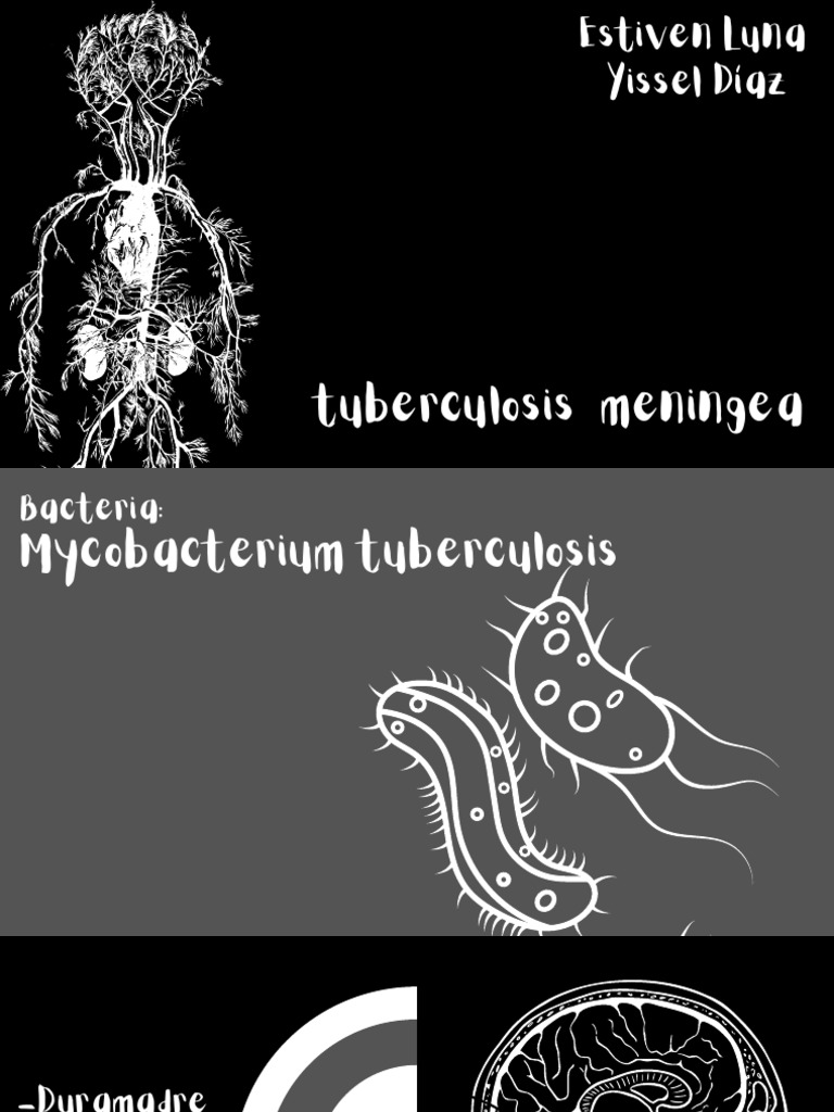 Tuberculosis Meníngea: Síntomas y Tratamiento | PDF