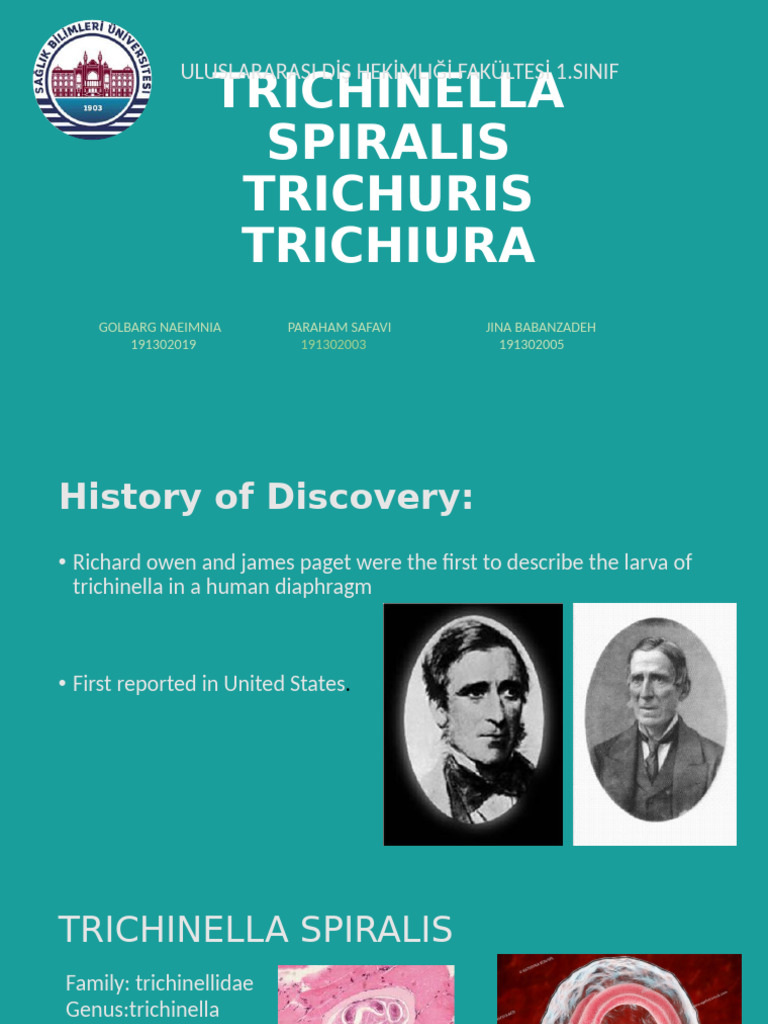 Trichinella Spiralis and Trichuris Trichiura | PDF | Medical ...