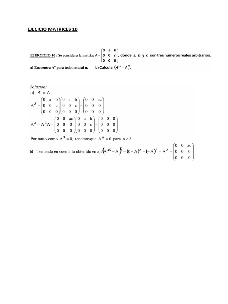 Matrices ejercicio 10 | PDF