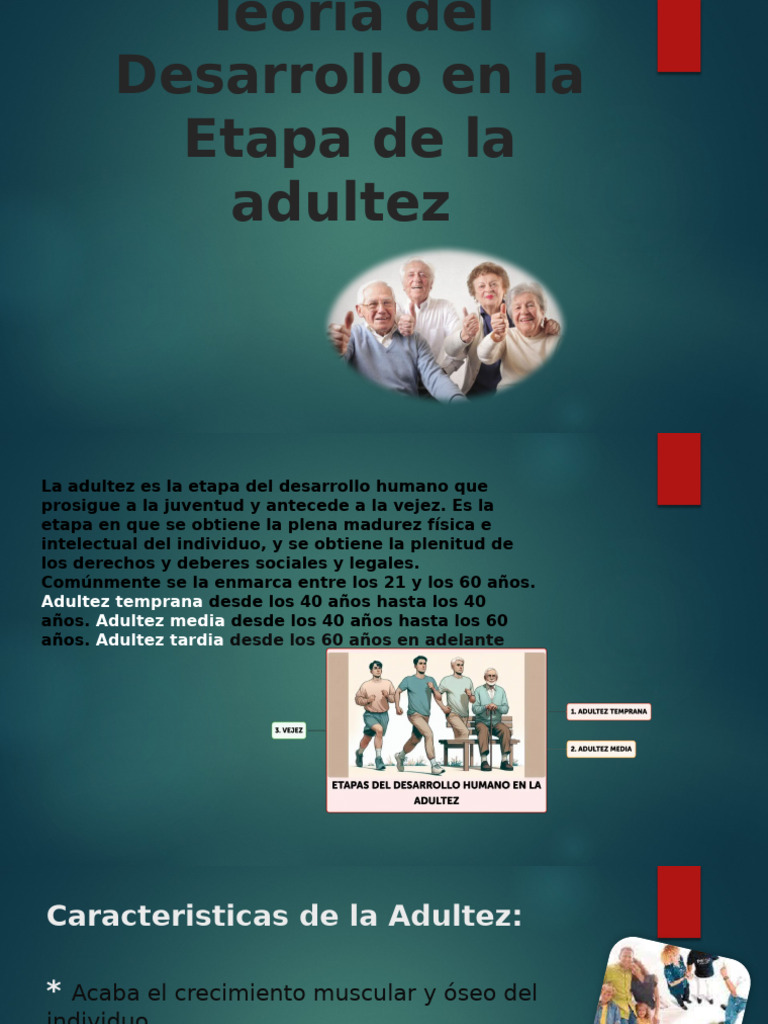 Teoría del Desarrollo en la Etapa de la Adultez | PDF | Adultos | Desarrollo cognitivo