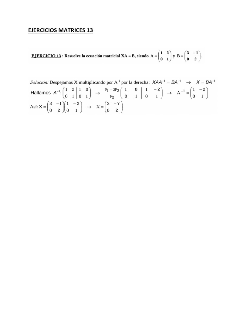 Matrices Ejercicio 13 | PDF