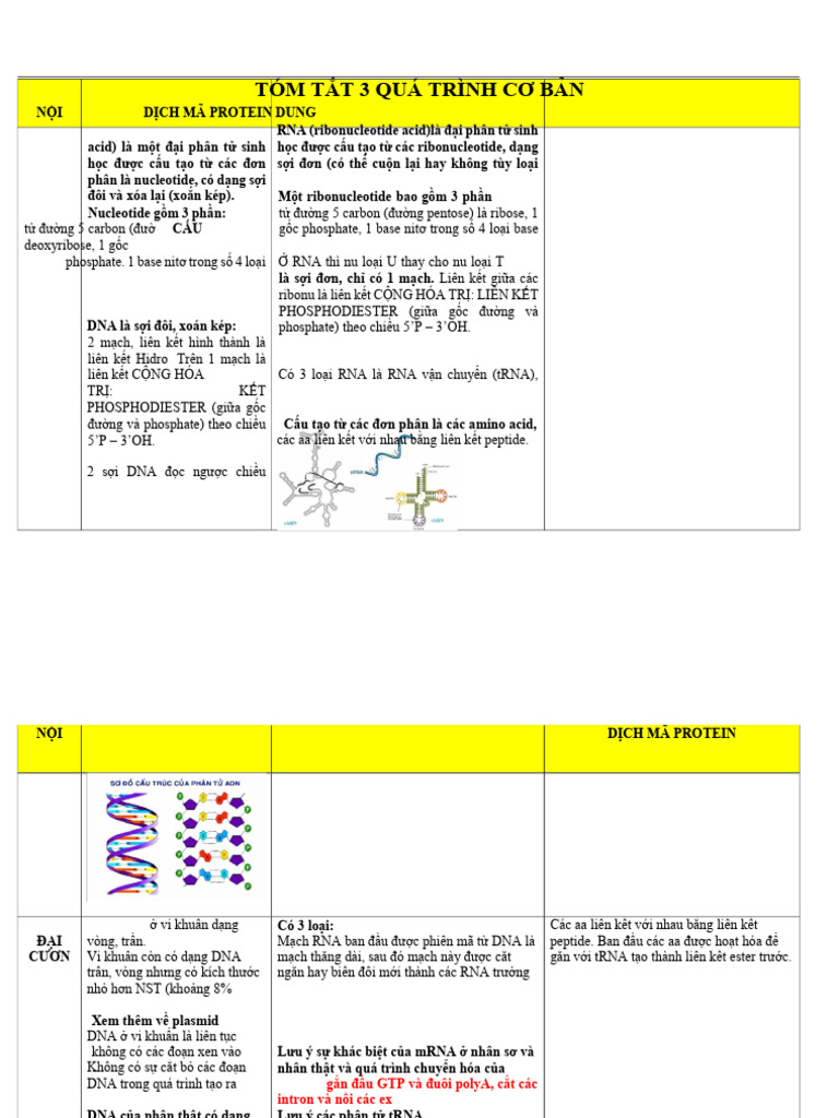 bang-tom-tat-ly-thuyet-mon-sinh-hoc-phan-tu-4202 | PDF