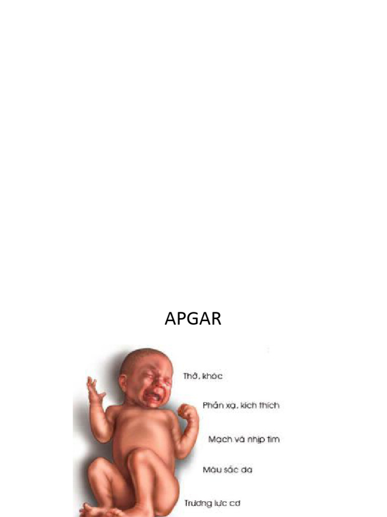 Apgar PDF | PDF