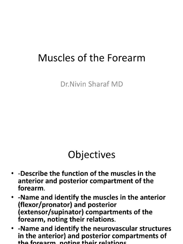 Forearm Slide For 1st DPT | PDF