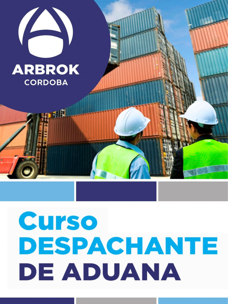 Regimenes Especiales 1 | PDF | aduana | Arancel