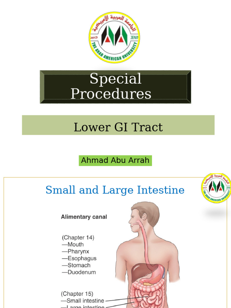 4 Lower G.I. system | PDF | Gastrointestinal Tract | Large Intestine