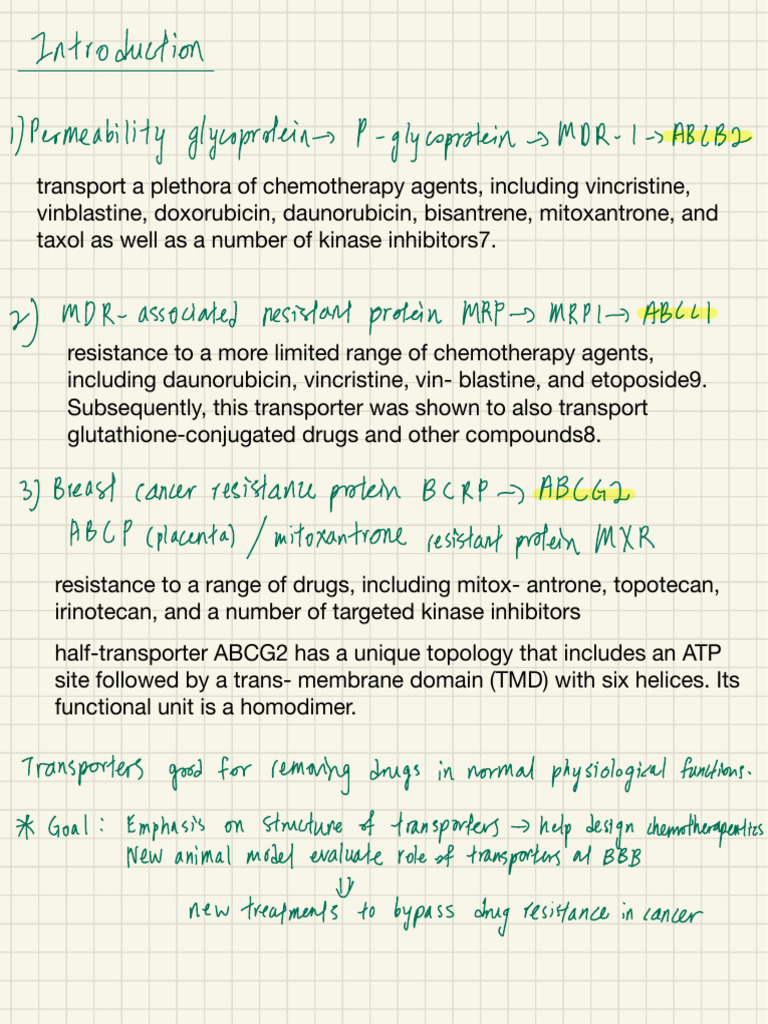 3 ABC Transporter Overview | PDF | Biological Membrane | Cell Membrane