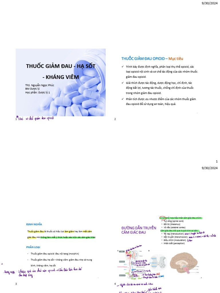 DL1 Opioid Nsaid | PDF