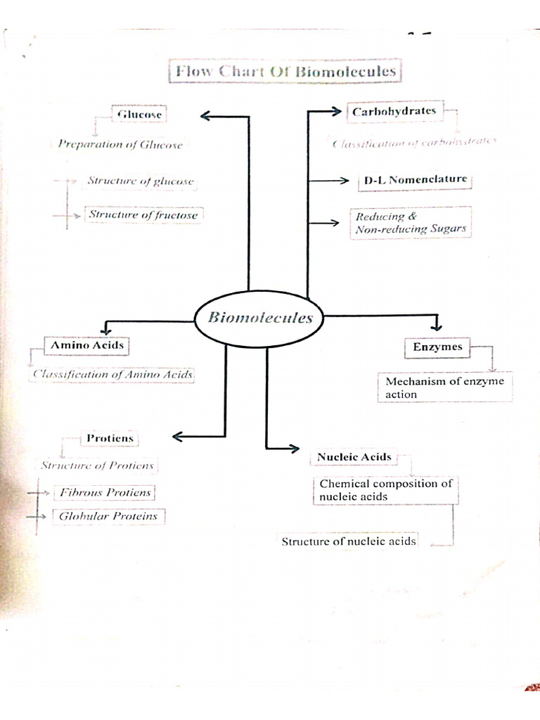 Biomolecules | PDF