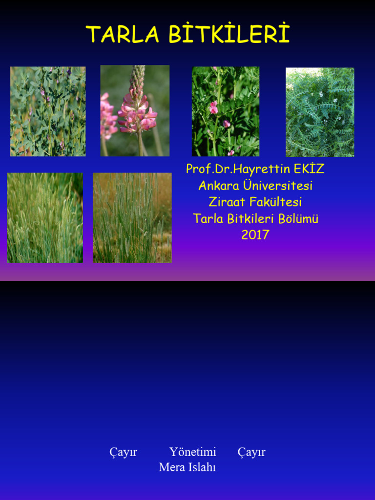Yem TARLA 12 | PDF