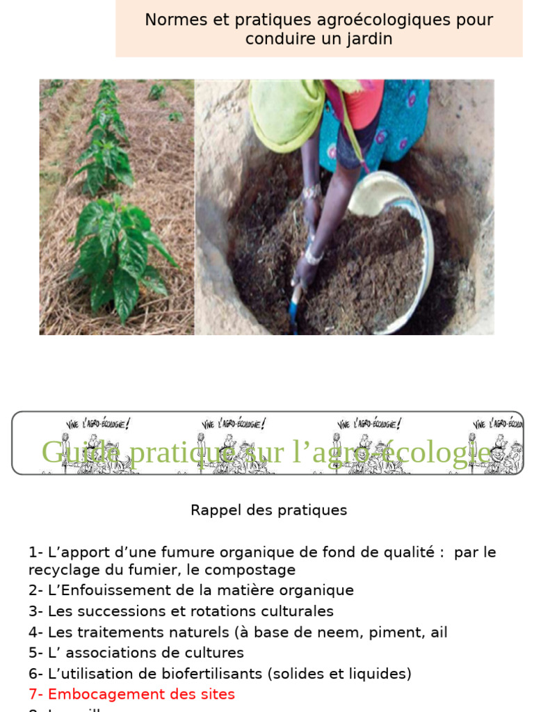 Fumure organique : pratiques agroécologiques | PDF | Fumier | Sol ...