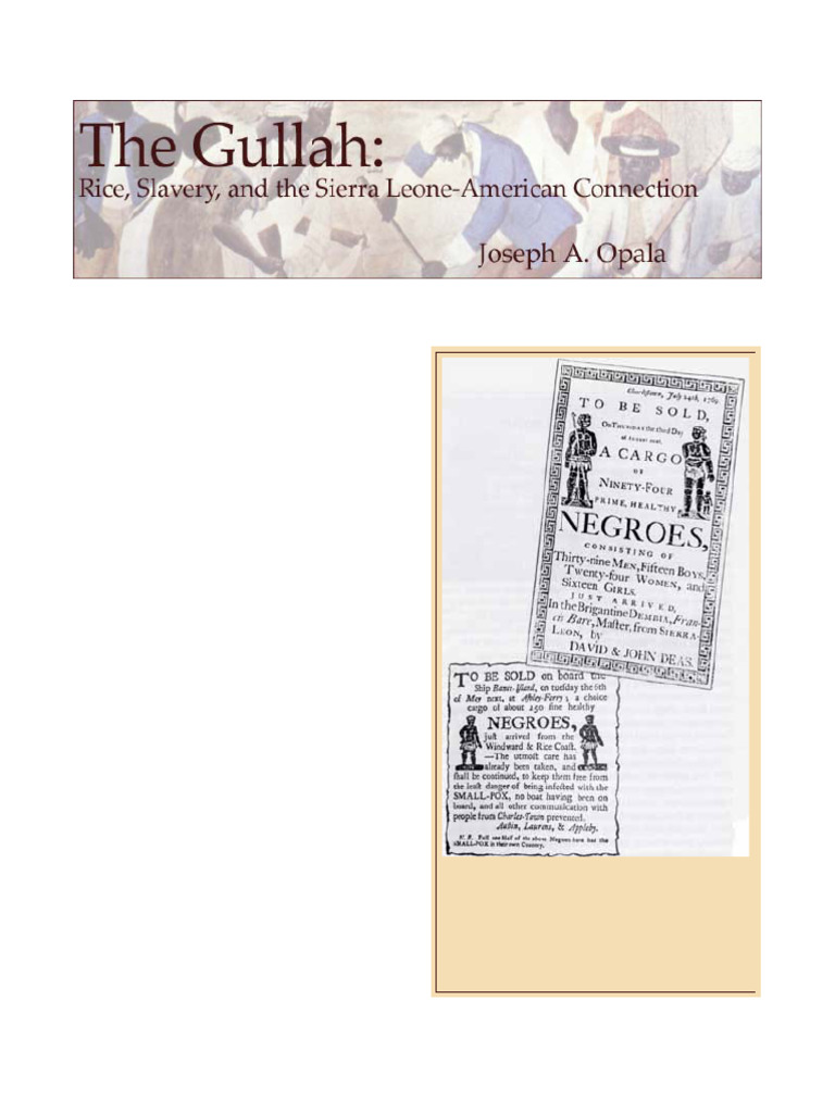 South Carolina Rice Plantations | PDF | South Carolina | Slavery