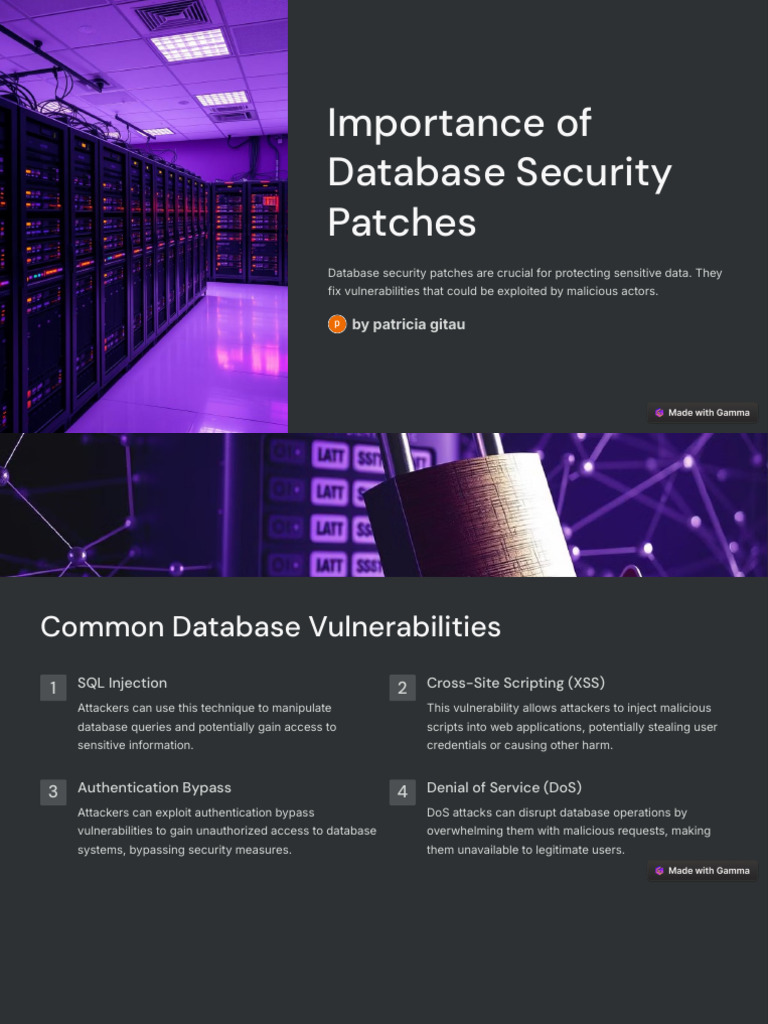 Importance of Database Security Patches | PDF | Security | Computer Security