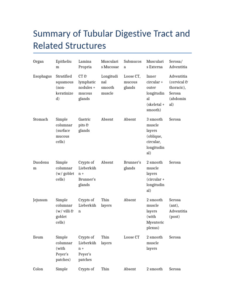 Tubular Digestive Tract Overview | PDF | Epithelium | Gastrointestinal ...