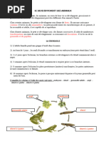 Cycle de vie de la grenouille | PDF | Amphibiens | Grenouille