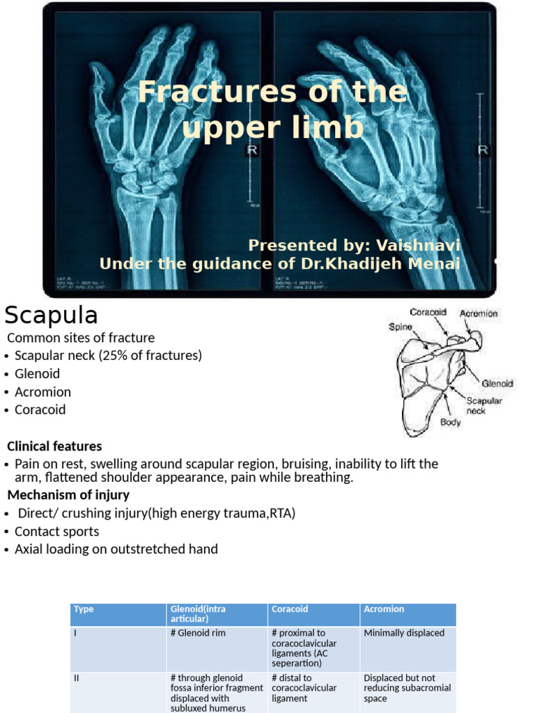 Upper Limb Fractures | PDF | Elbow | Anatomical Terms Of Motion