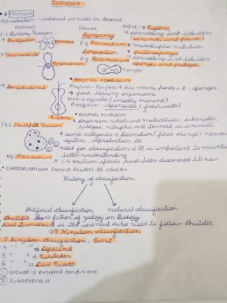 Zoology Notes | PDF