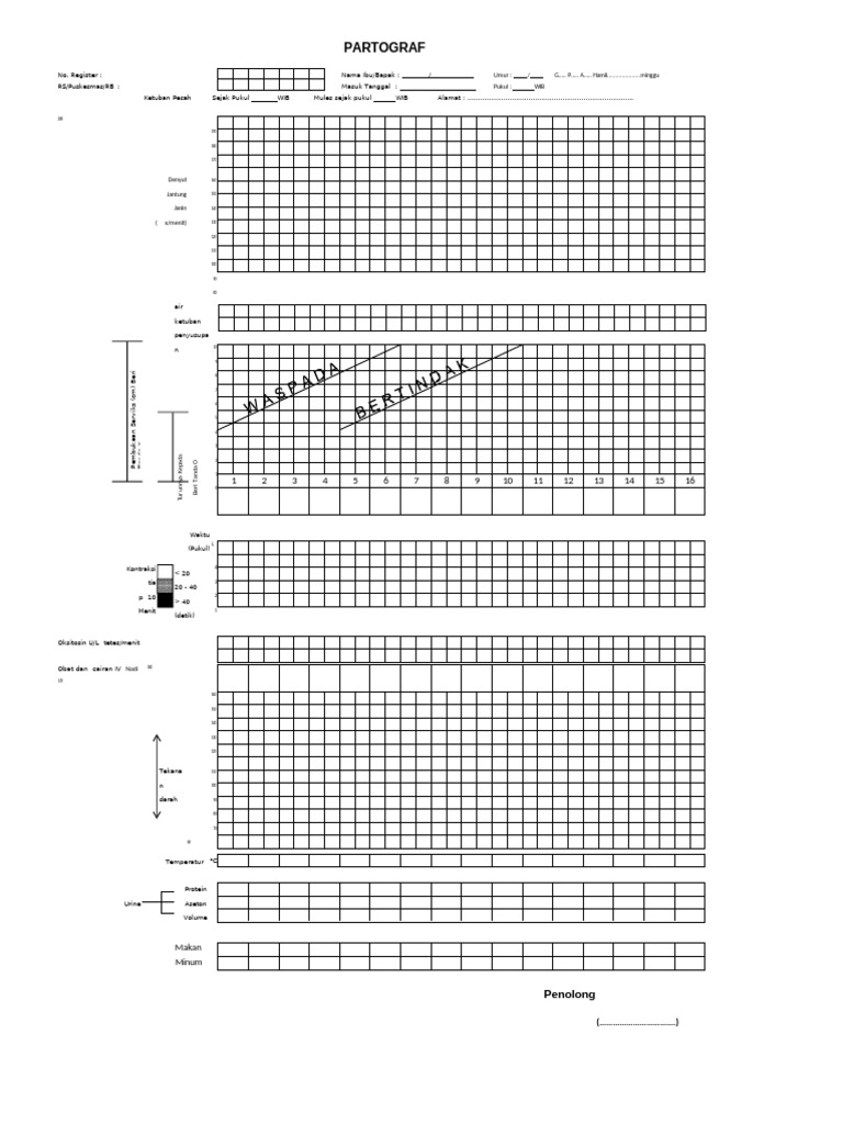 Partograf New | PDF
