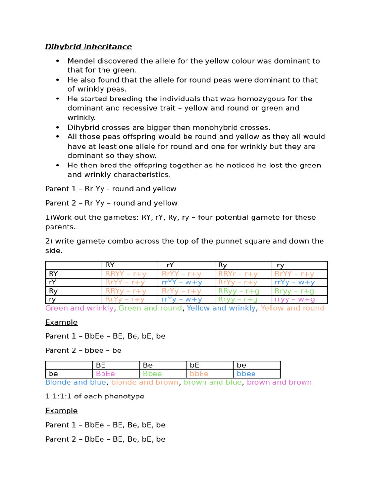 Dihybrid Inheritance | PDF