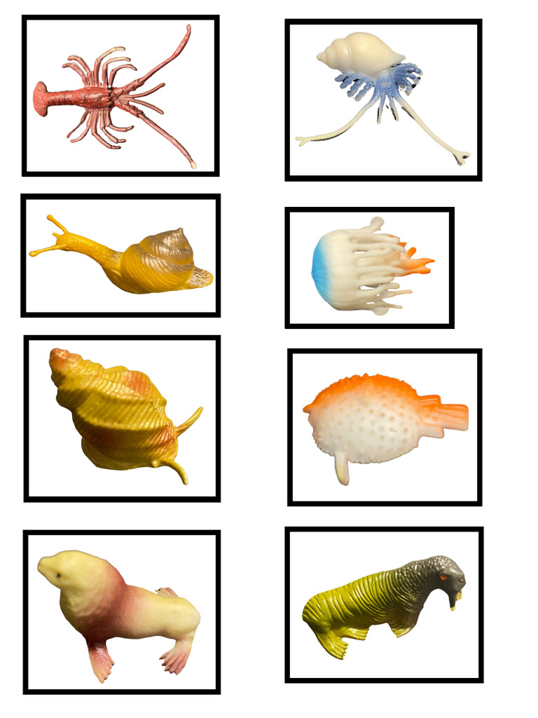 Tarjetas Animales Del Mar Juego | PDF