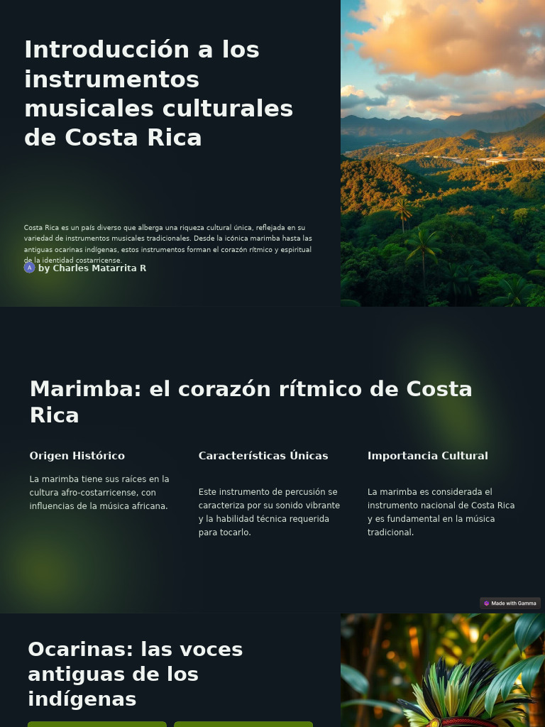 Introduccion A Los Instrumentos Musicales Culturales de Costa Rica ...