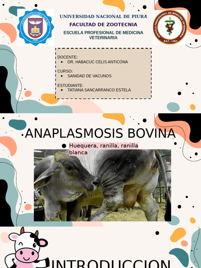 Anaplasmosis Bovina | PDF | Anemia | Infección