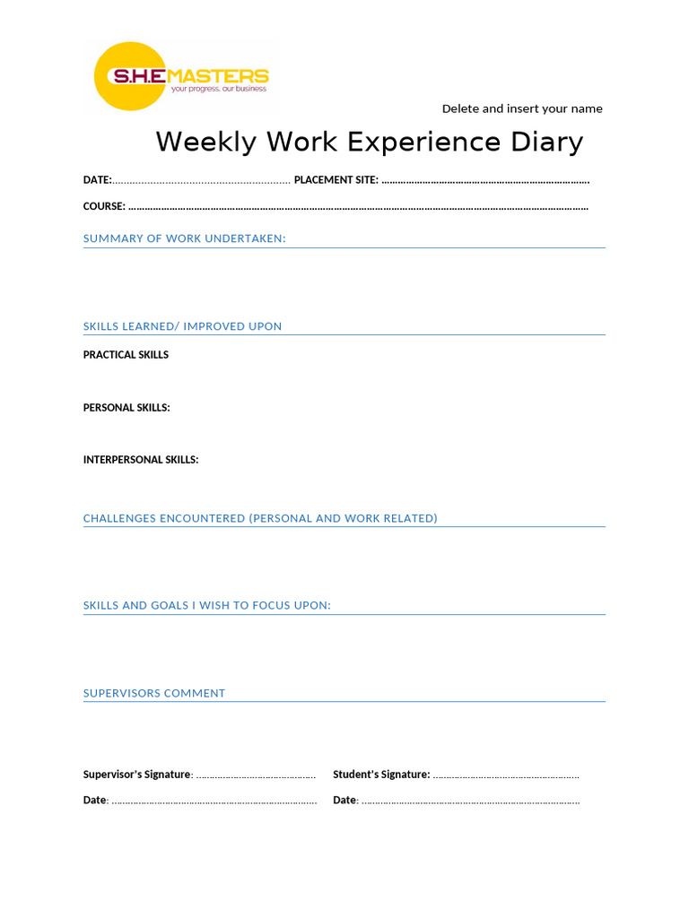 Work Experience Diary Template | PDF